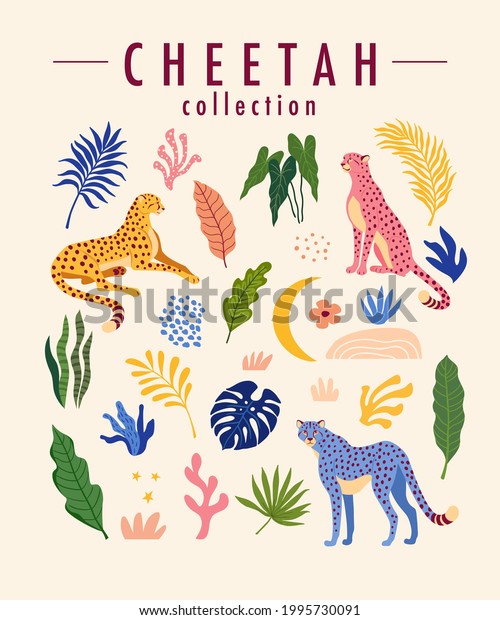 Cheetah Trendy Design Elements Collection Vector Stock Vector (Royalty ...