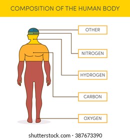 Chemical Composition Human Body Concept Medical: เวกเตอร์สต็อก (ปลอดค่า ...