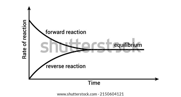 Chemical Equilibrium Graph Diagram Vector Illustration Stock Vector ...