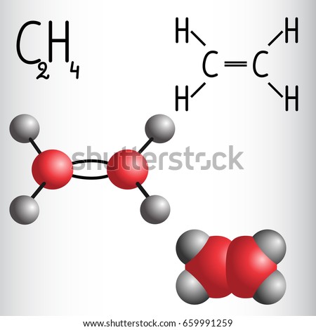 Chemical Formula Molecule Model Ethylene C 2 H 4 Stock Vector (Royalty ...