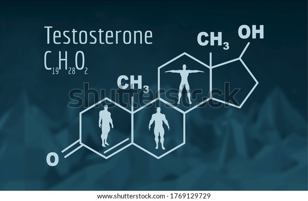 Chemical Molecular Formula Hormone Testosterone Infographics Stock ...