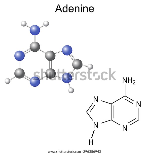 Chemical Structural Formula Model Adenine Dna Stock Vector (Royalty ...
