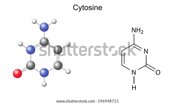 Chemical structural formula and model of cytosine (RNA and DNA nitrogen ...
