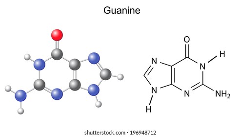 Chemical Structural Formula Model Guanine Dna Stock Vector (Royalty ...