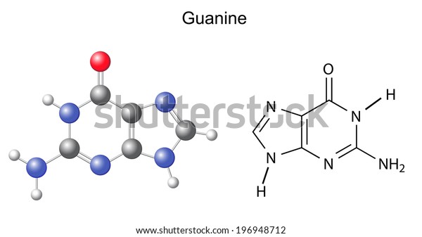 Chemical Structural Formula Model Guanine Dna Stock Vector (Royalty ...