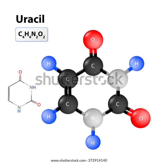 Chemical structural formula and model of Uracile