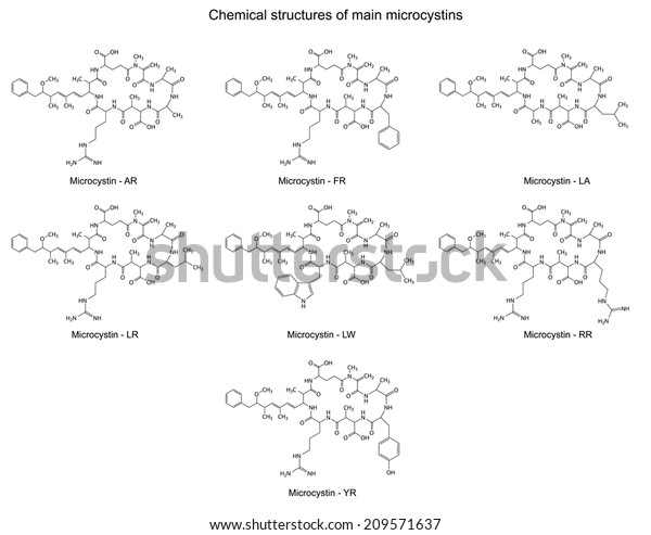 Chemical Structural Formulas Main Microcystins Cyanotoxins Stock Vector ...