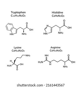 Chemical Structural Formulas On White Background Stock Vector (Royalty ...