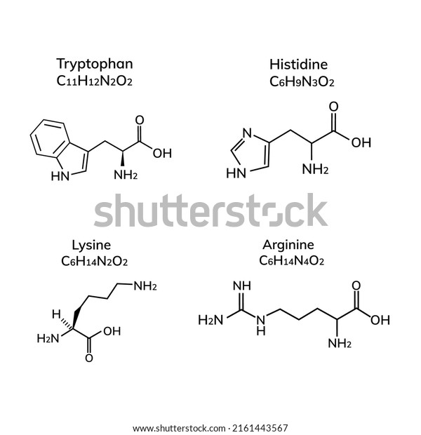 Chemical Structural Formulas On White Background: เวกเตอร์สต็อก (ปลอด ...