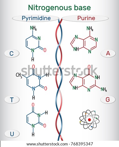Chemical Structural Formulas Purine Pyrimidine Nitrogenous Stock Vector ...