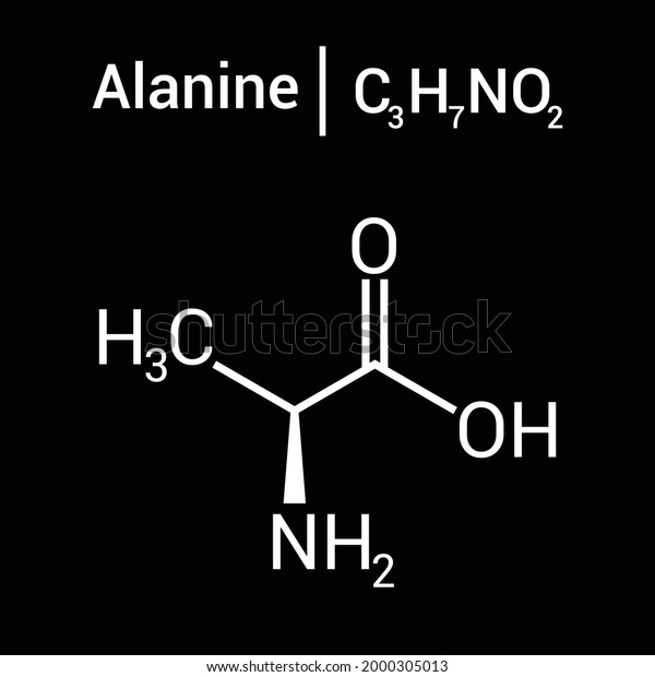 Chemical Structure Alanine C3h7no2 Stock Vector (Royalty Free ...