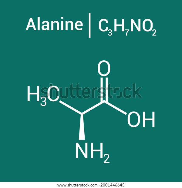 Chemical Structure Alanine C3h7no2 Stock Vector (Royalty Free ...