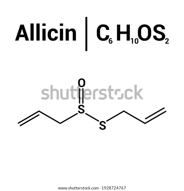 Chemical Structure Allicin C6h10os2 Stock Vector (Royalty Free ...