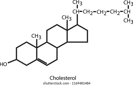 Chemical Structure Cholesterol Stock Vector (Royalty Free) 1169481484 ...
