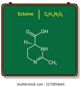 Chemical Structure Ectoine C6h10n2o2 Stock Vector (Royalty Free ...