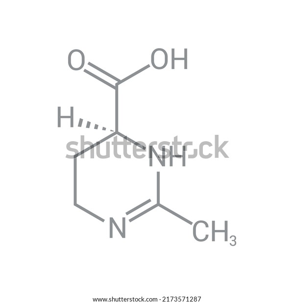 estructura química de Ectoine (C6H10N2O2): vector de stock (libre de regalías) 2173571287 ...