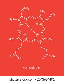 Chemical Structure Hemoglobin Haemoglobin Stock Vector (Royalty Free ...