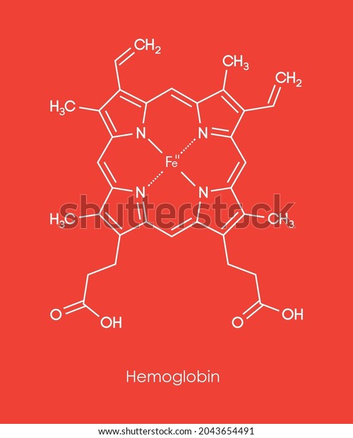 Chemical Structure Hemoglobin Haemoglobin Stock Vector (Royalty Free ...