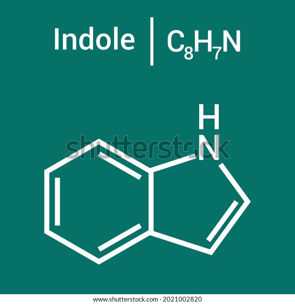 Chemical Structure Indole C8h7n Stock Vector (Royalty Free) 2021002820 ...