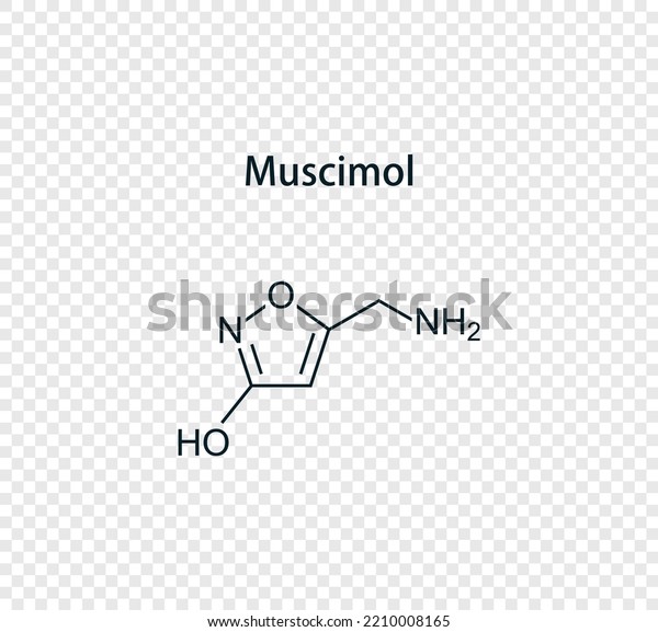 Chemical Structure Muscimol Vector Illustration Isolated Stock Vector ...