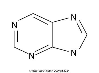 533 Purine nucleotides Images, Stock Photos & Vectors | Shutterstock