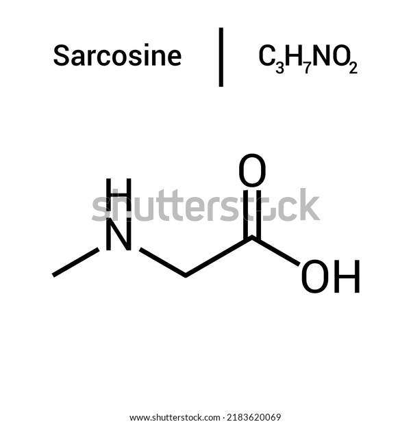 Chemical Structure Sarcosine C3h7no2: เวกเตอร์สต็อก (ปลอดค่าลิขสิทธิ์ ...