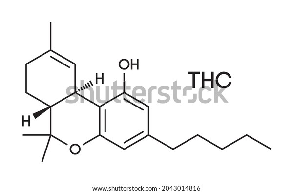 Chemical Structure Tetrahydrocannabinol Thc Stock Vector (Royalty Free ...
