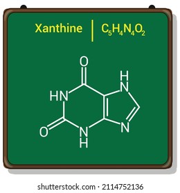 Chemical Structure Xanthine C5h4n4o2 Stock Vector (Royalty Free ...