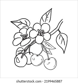 Cherries Line Artcherries Vector Artcherries Line Stock Vector (Royalty ...