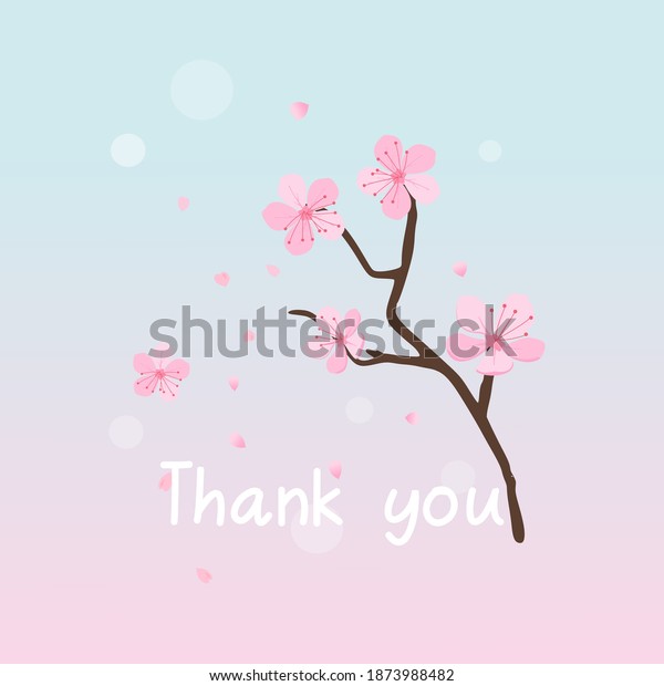 Cherry Blossom Branch Hand Written Font Stock Vector (Royalty Free ...