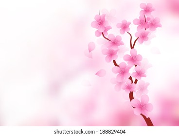 Cherry Blossom Branch Vector Illustration Stock Vector (Royalty Free ...