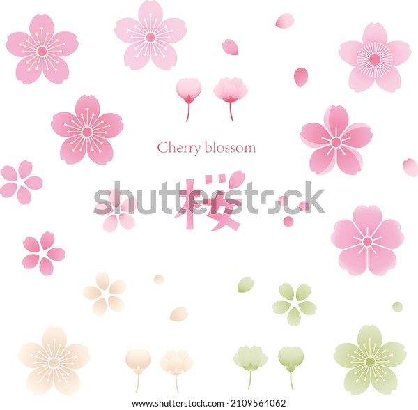 Cherry Blossoms Icon Set Vector Illustration Stock Vector (Royalty Free ...