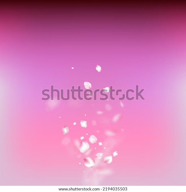 Cherry Sakura Blossom Confetti Windy Leaves Stock Vector (Royalty Free ...
