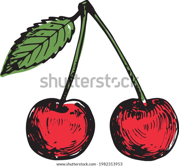 Cherry Sketch Illustration Hand Drawn Cherry Stock Vector (Royalty Free ...