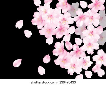 Cherry Tree Black Background Stock Vector (Royalty Free) 130498433 ...