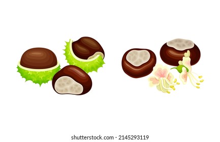 5,564 Prickly nuts Images, Stock Photos & Vectors | Shutterstock