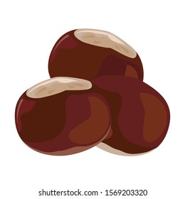 31,844 Chestnut 스톡 벡터, 이미지 및 벡터 아트 | Shutterstock
