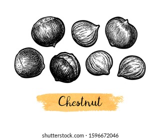 Walnuts Set Ink Sketch Nuts Hand Stock Vector (Royalty Free) 637482112 ...