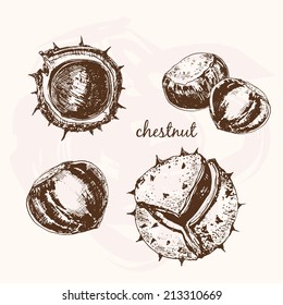 14,458 Chestnut draw Images, Stock Photos & Vectors | Shutterstock