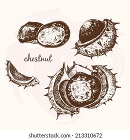 14,396 Chestnut drawing Images, Stock Photos & Vectors | Shutterstock