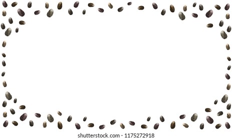Chia Seeds Seamless Border Background Package: เวกเตอร์สต็อก (ปลอดค่า ...