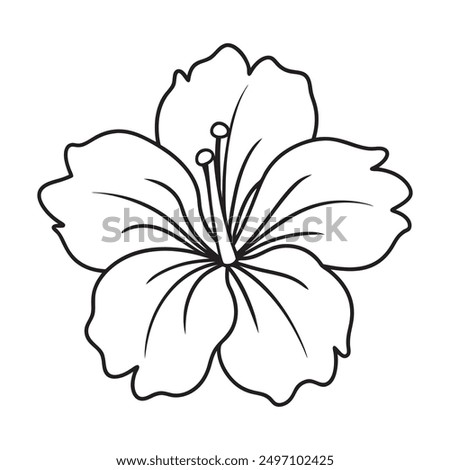 Hibiscus Outline | Free download on ClipArtMag