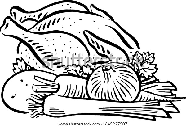 Chicken Broth Ingredients Vector Illustration Stock Vector (Royalty ...