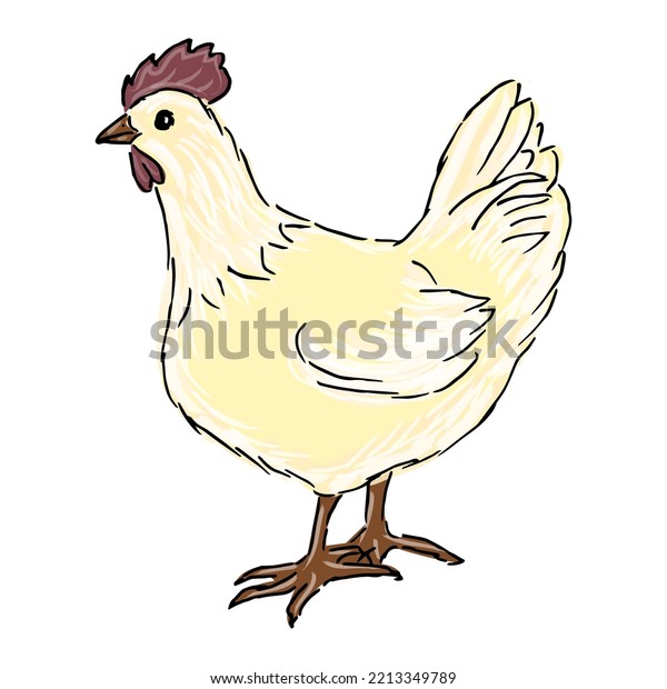 Chicken Cartoon Drawing Vector Illustration On Stock Vector (Royalty ...