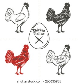 Cut Meat Chicken Poster Butcher Diagram 스톡 벡터(로열티 프리) 1395909545 ...