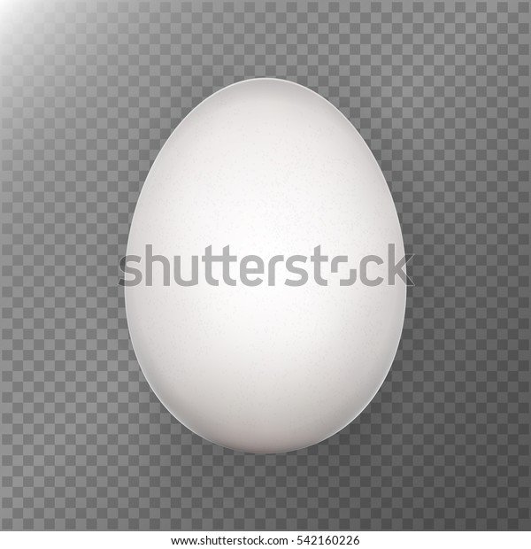 Chicken Egg Transparent Background Realistic Blank Stock Vector ...