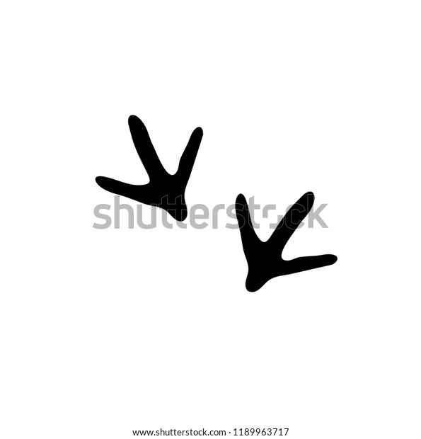 Chicken Feet Vectorwhite Background Stock Vector (Royalty Free ...