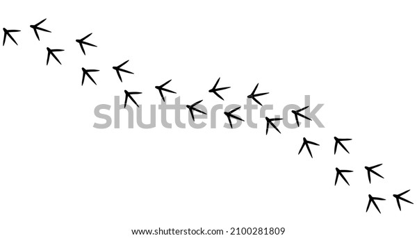 Chicken Footprint Track Vector Hen Steps Stock Vector (Royalty Free ...