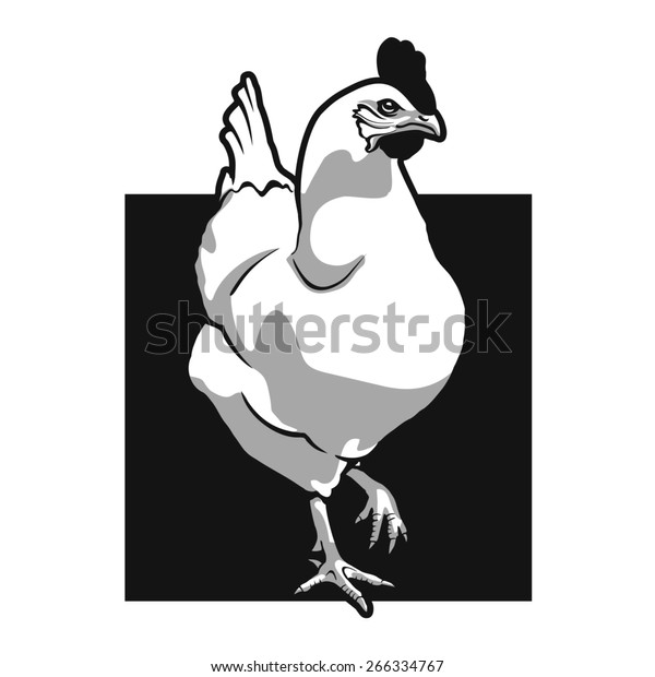Chicken Hen Vector Black White Square: vector de stock (libre de ...