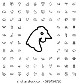 Chicken Icon Illustration Isolated Vector Sign Stock Vector (Royalty ...